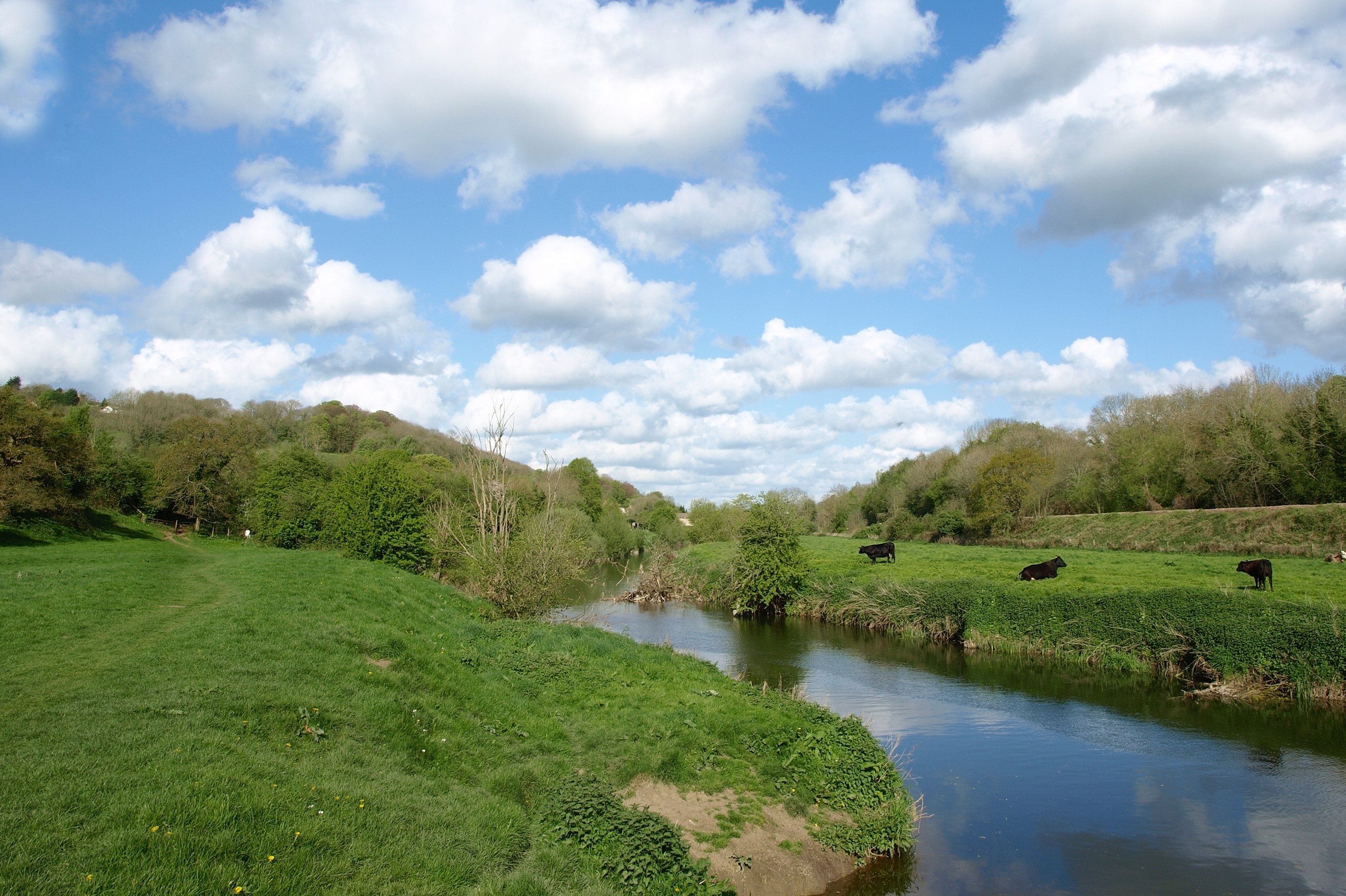 The Nature Restoration Fund in the Planning and Infrastructure Bill ...