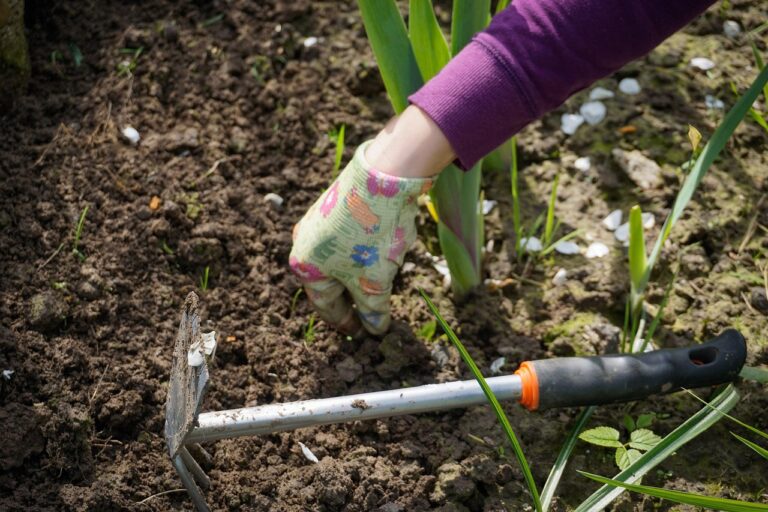 Sale of allotment spaces – MHCLG in the Media